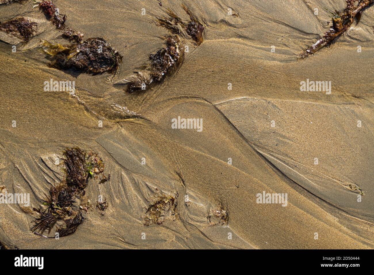 Overhead close up detail of the beach, sand at Old Head, Louisburgh ...