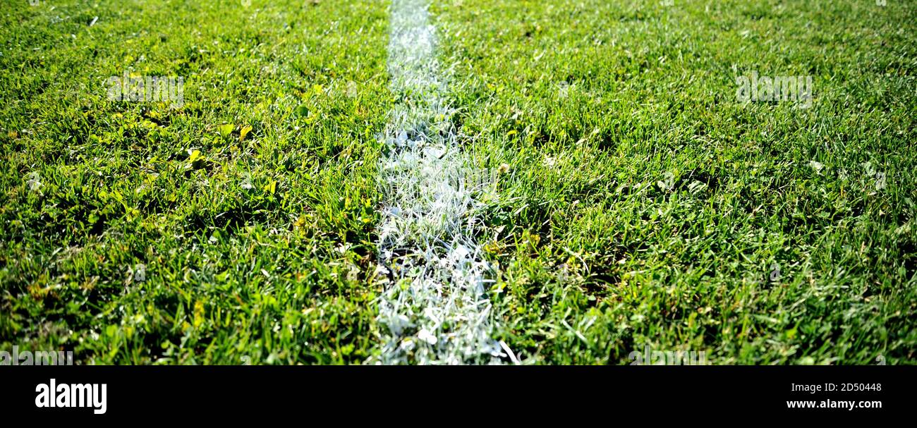 Soccer Field with green grass, sport theme image Stock Photo - Alamy