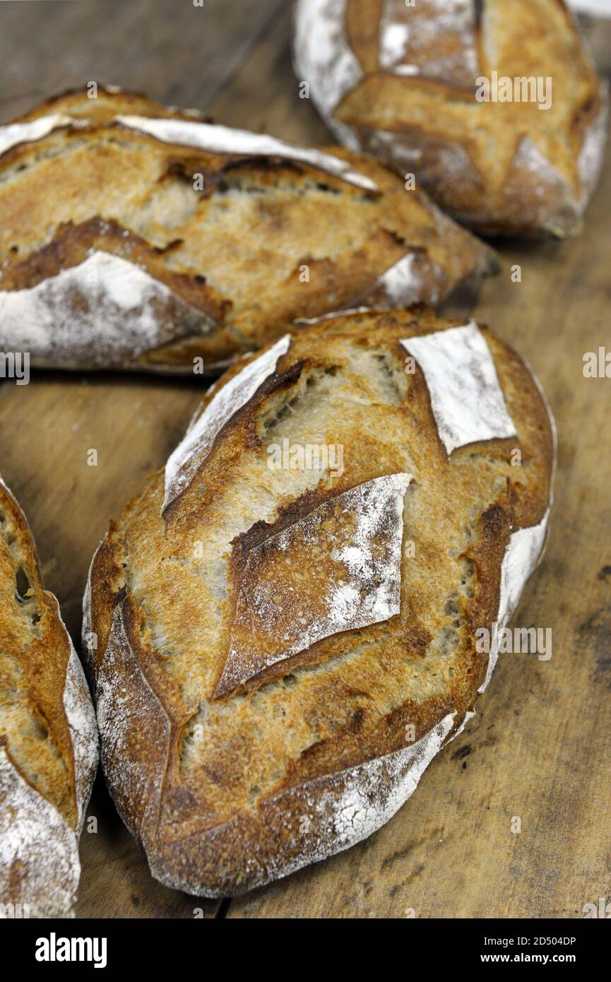 Country style bread Stock Photo - Alamy