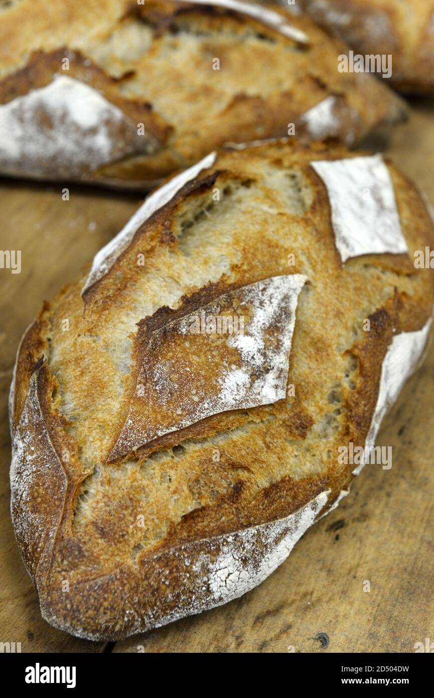 Country style bread Stock Photo - Alamy