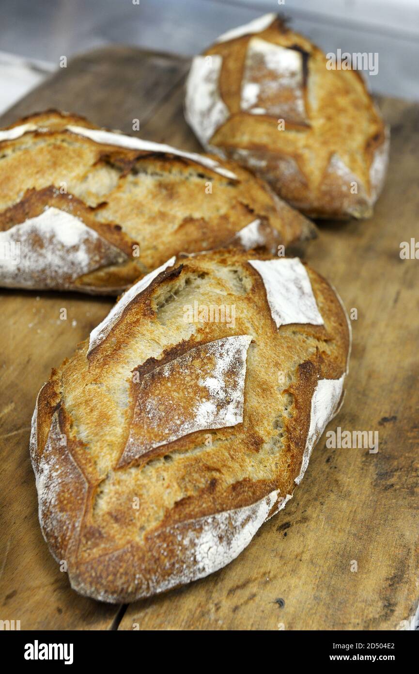 Country style bread Stock Photo - Alamy
