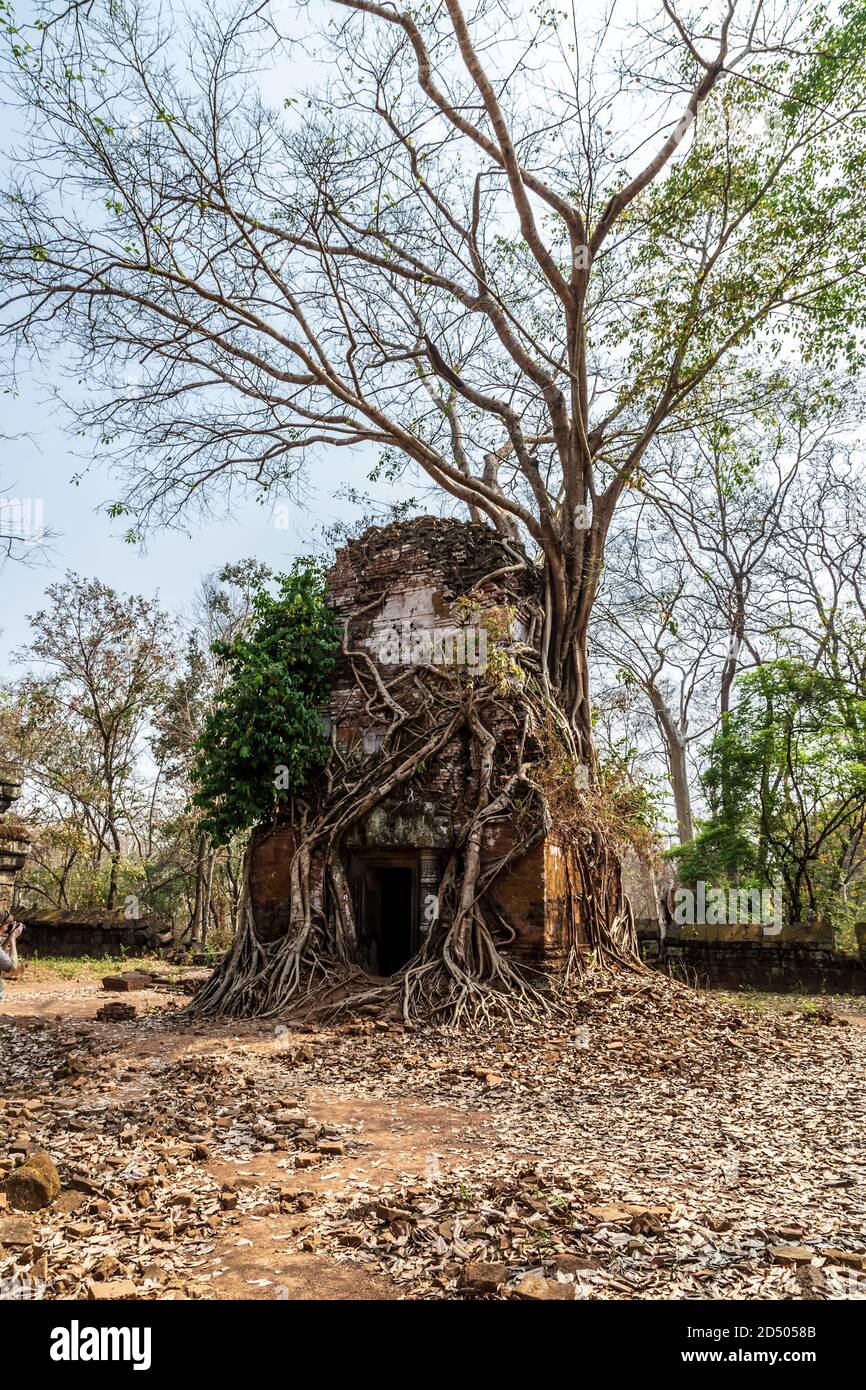Amazing temple Koh Ker 10th-century temple complex in the north ...