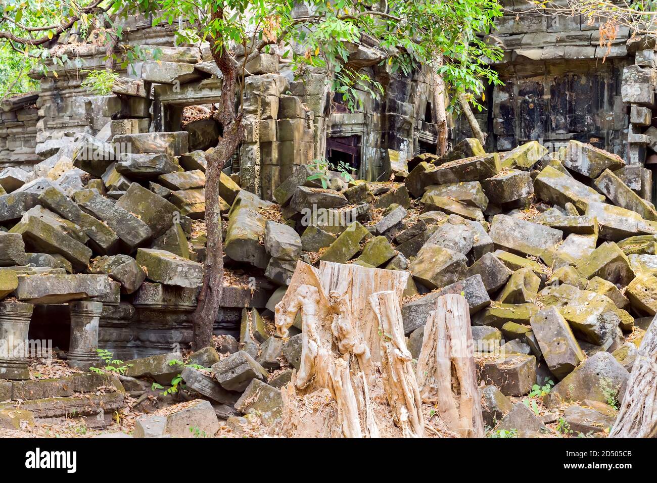 Ruins of Beng Mealea Temple, Angkor, Cambodia Stock Photo - Alamy