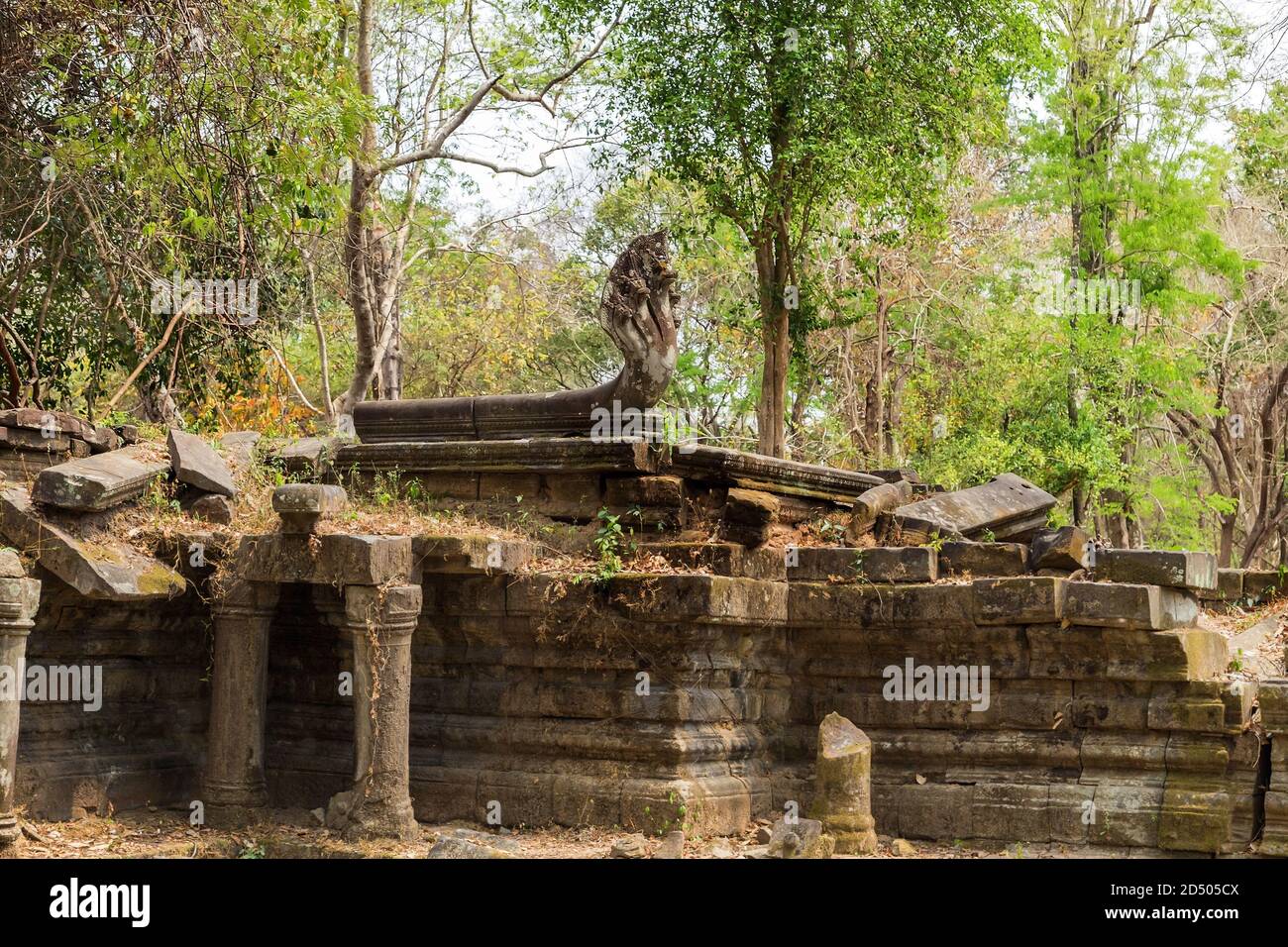 Ruins of Beng Mealea Temple, Angkor, Cambodia Stock Photo - Alamy