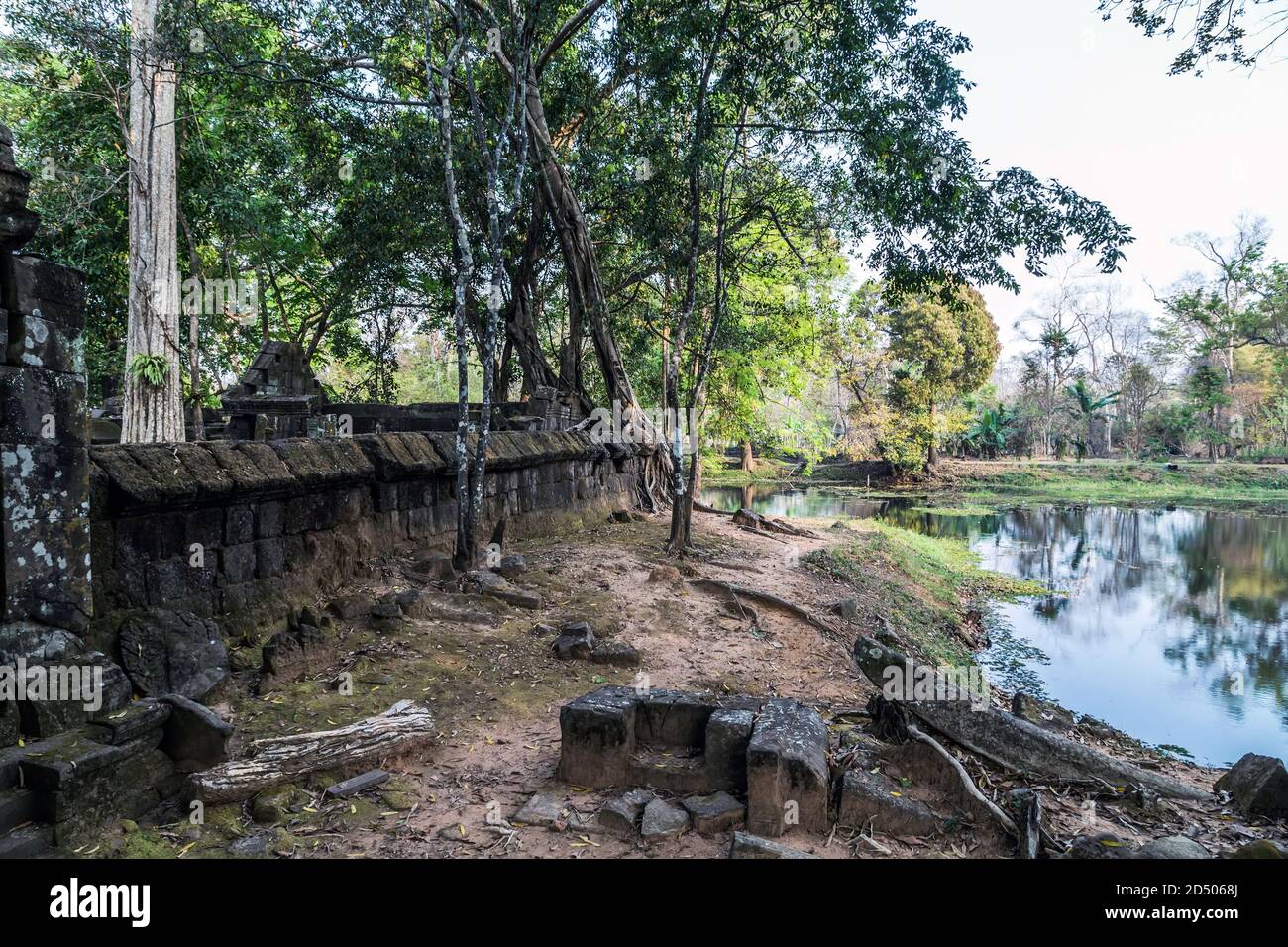 Prasat Krahom Hindu Temple in Koh Ker trees and vegetation-covered ...