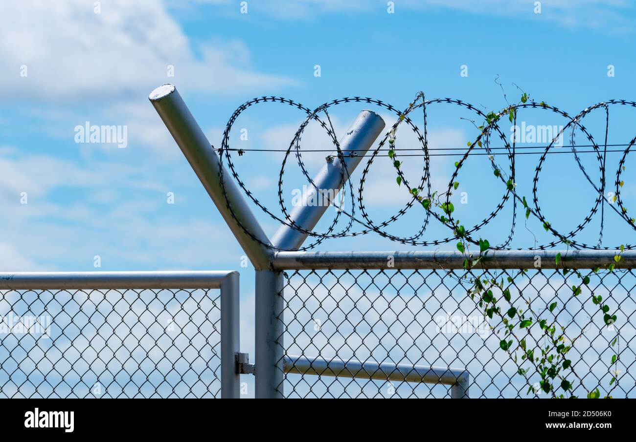 Prison security fence. Barbed wire security fence. Razor wire jail ...