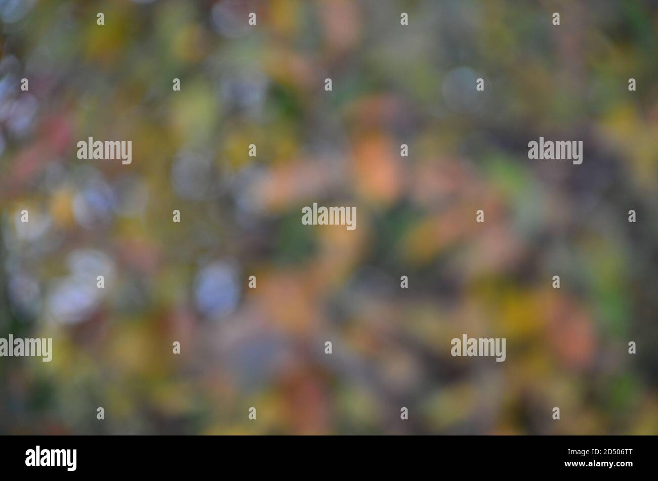 abstract background Autumn. Fall scene. Beautiful Autumnal park. Beauty ...