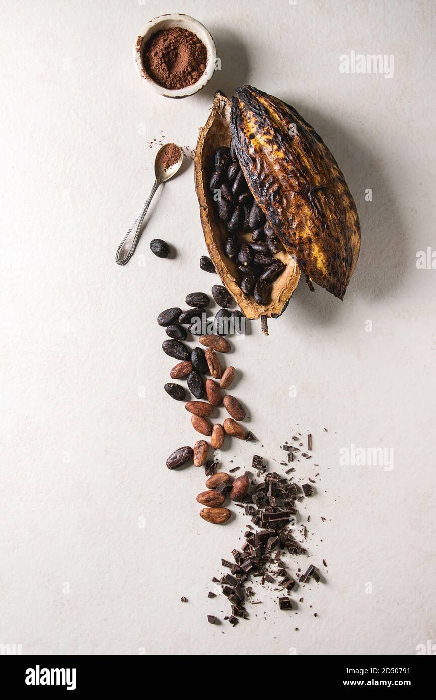 Variety of fresh and dry cocoa beans from cocoa pod with chopped dark ...