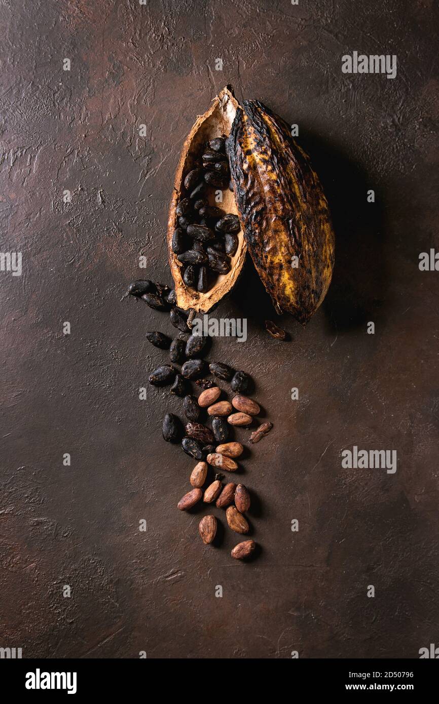 Variety of fresh and dry cocoa beans from cocoa pod with chopped dark ...