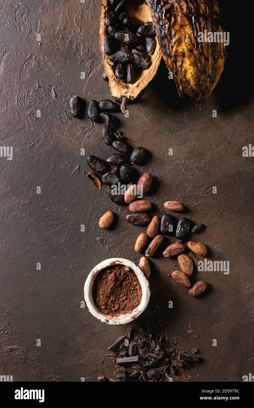 Variety of fresh and dry cocoa beans from cocoa pod with chopped dark ...