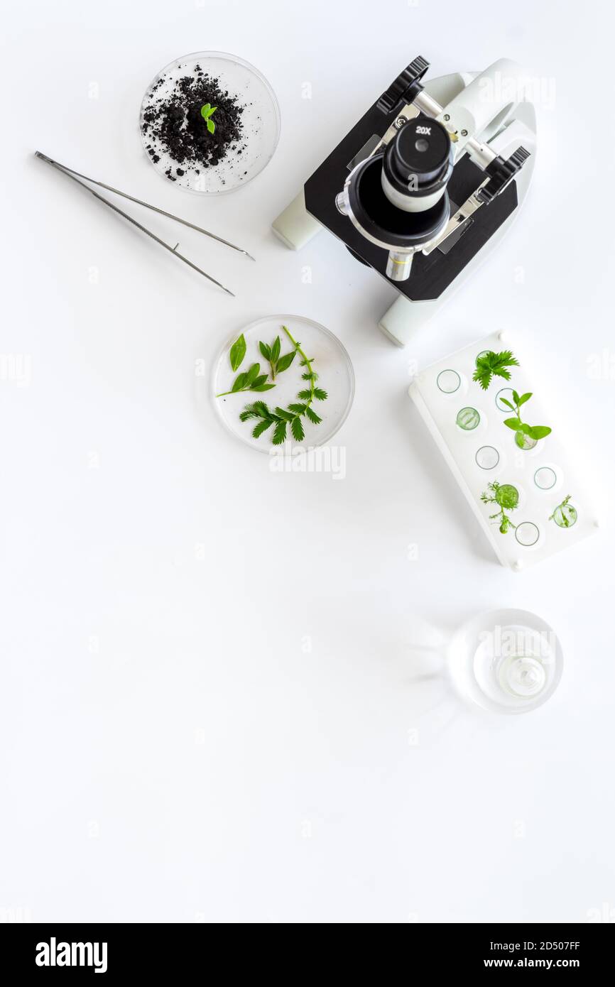 Plants with microscope in scientific laboratory. Top view Stock Photo ...