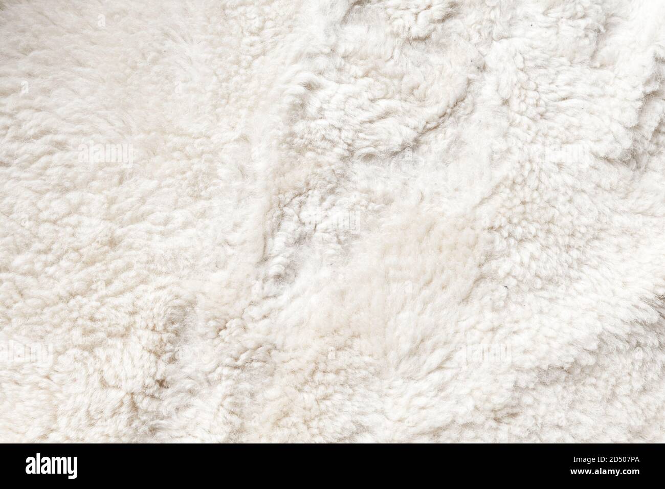 Natural white sheepskin, close-up flat background photo texture Stock ...