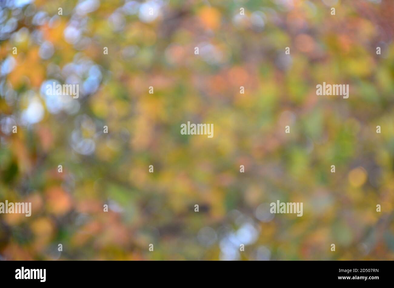 abstract background Autumn. Fall scene. Beautiful Autumnal park. Beauty ...