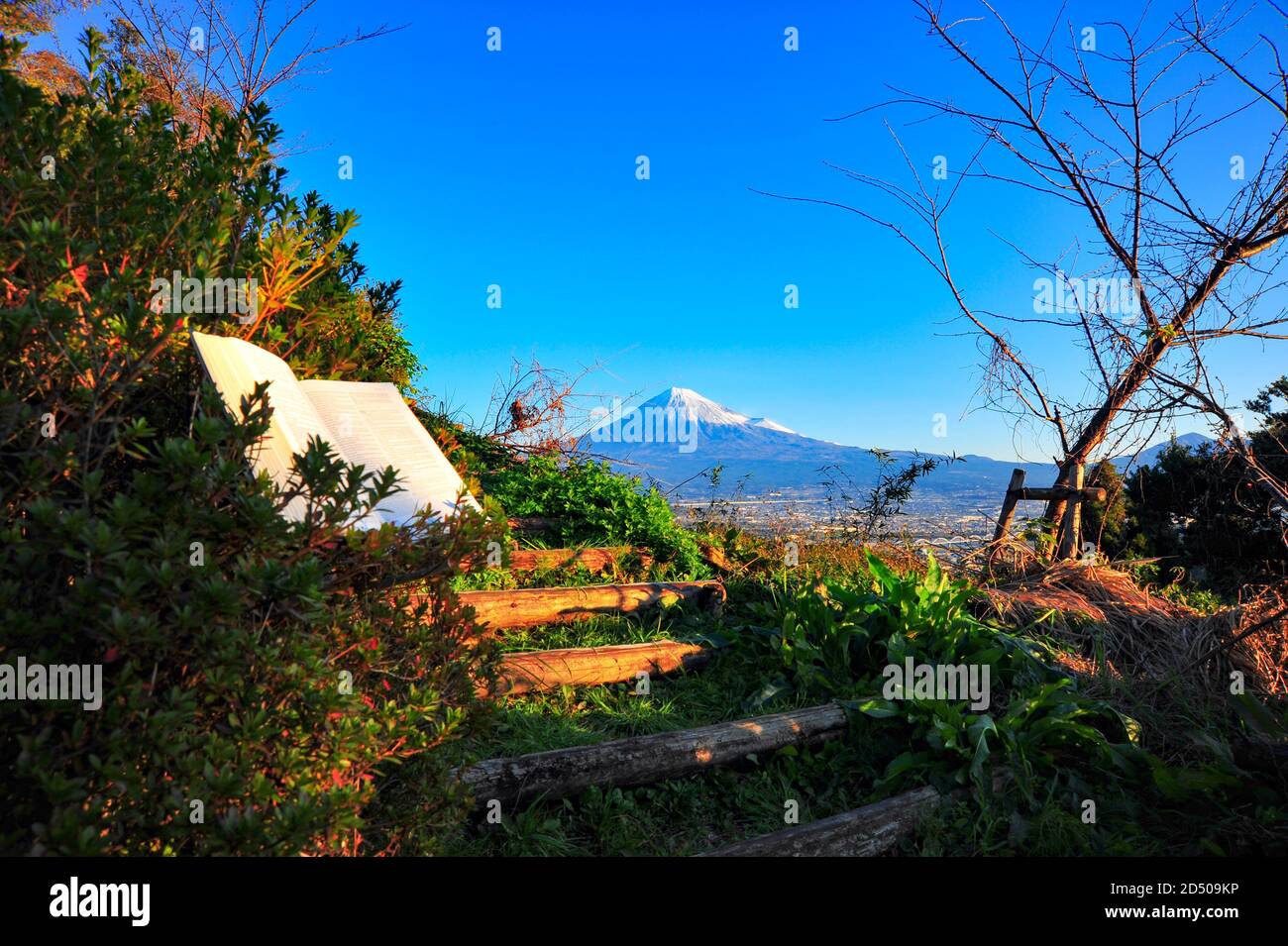 Beautiful landscape with Holy Bible open on a wooden ladder. Background ...