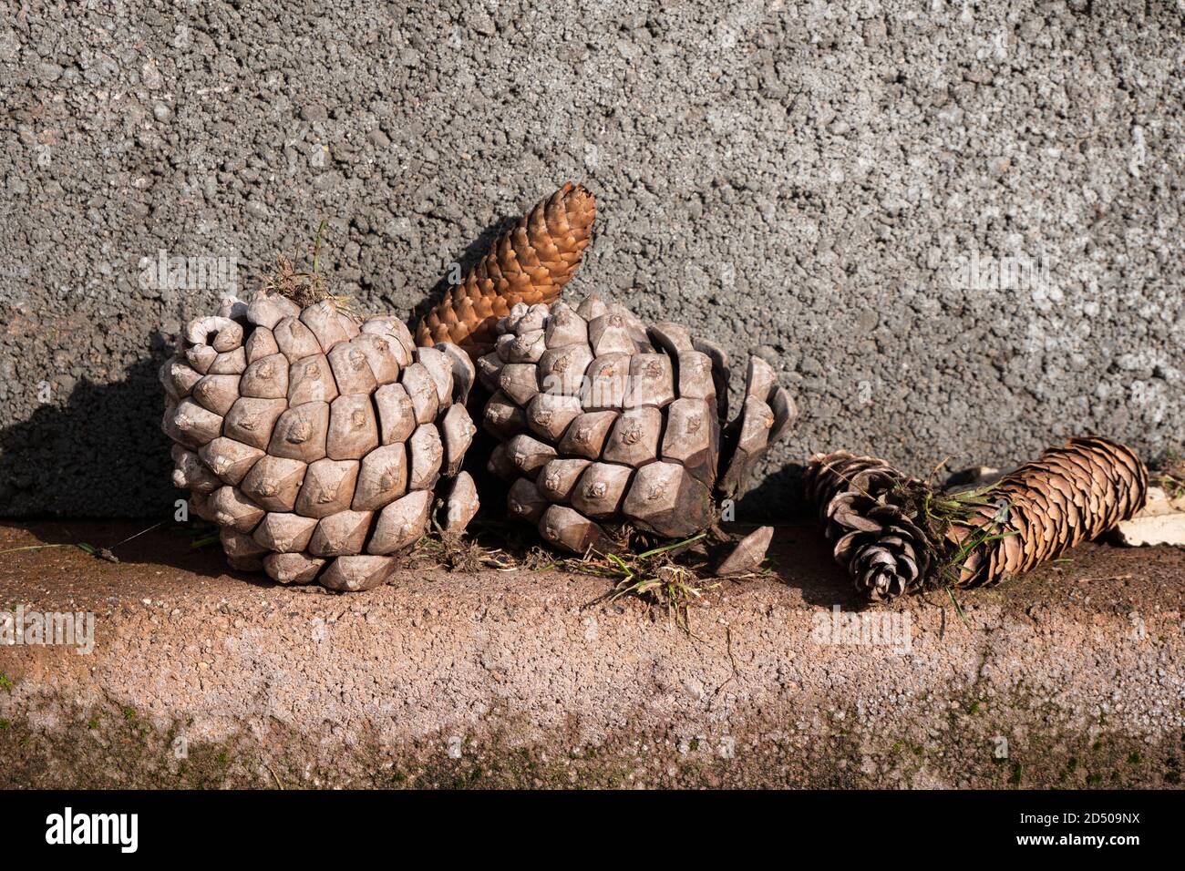 Concrete cones hi-res stock photography and images - Alamy