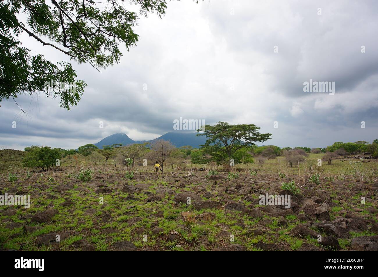 vast land under the foot of the mountain with little vegetation Stock ...