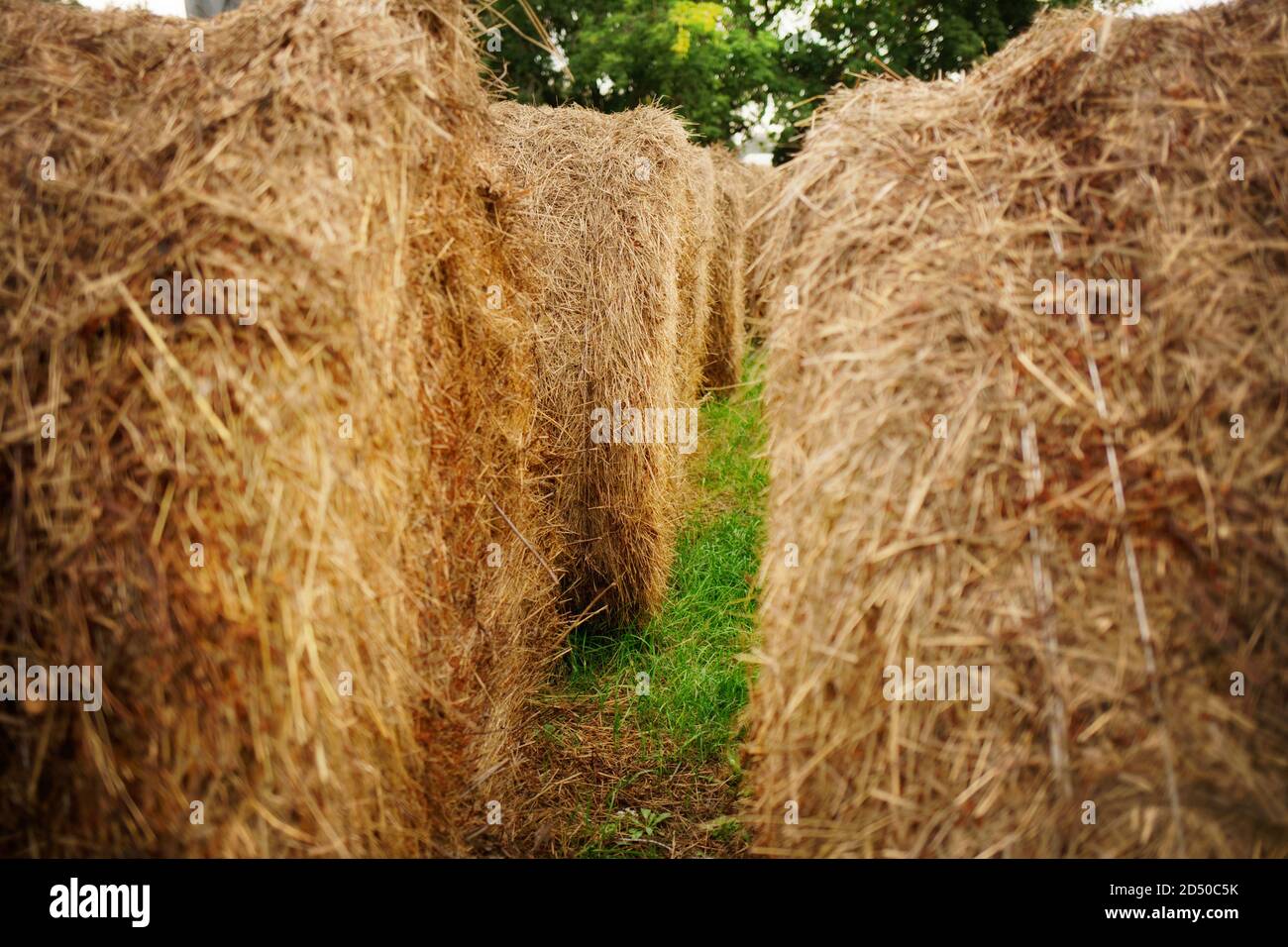 Quality hay hi-res stock photography and images - Alamy