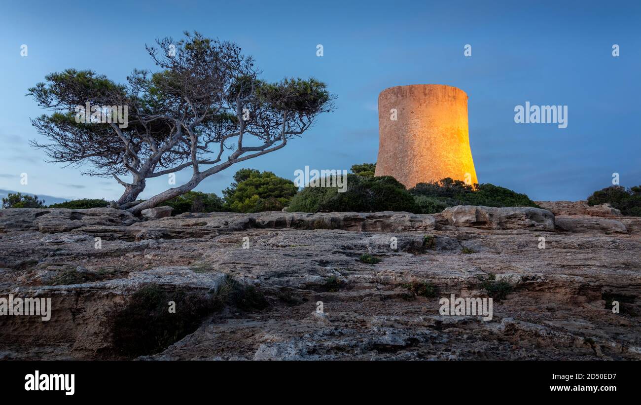 Cala Pi Watchtower and lone tree during blue hour, Mallorca, Spain ...