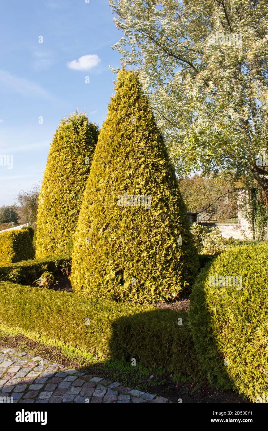 Garden Modern Hedges High Resolution Stock Photography and Images - Alamy