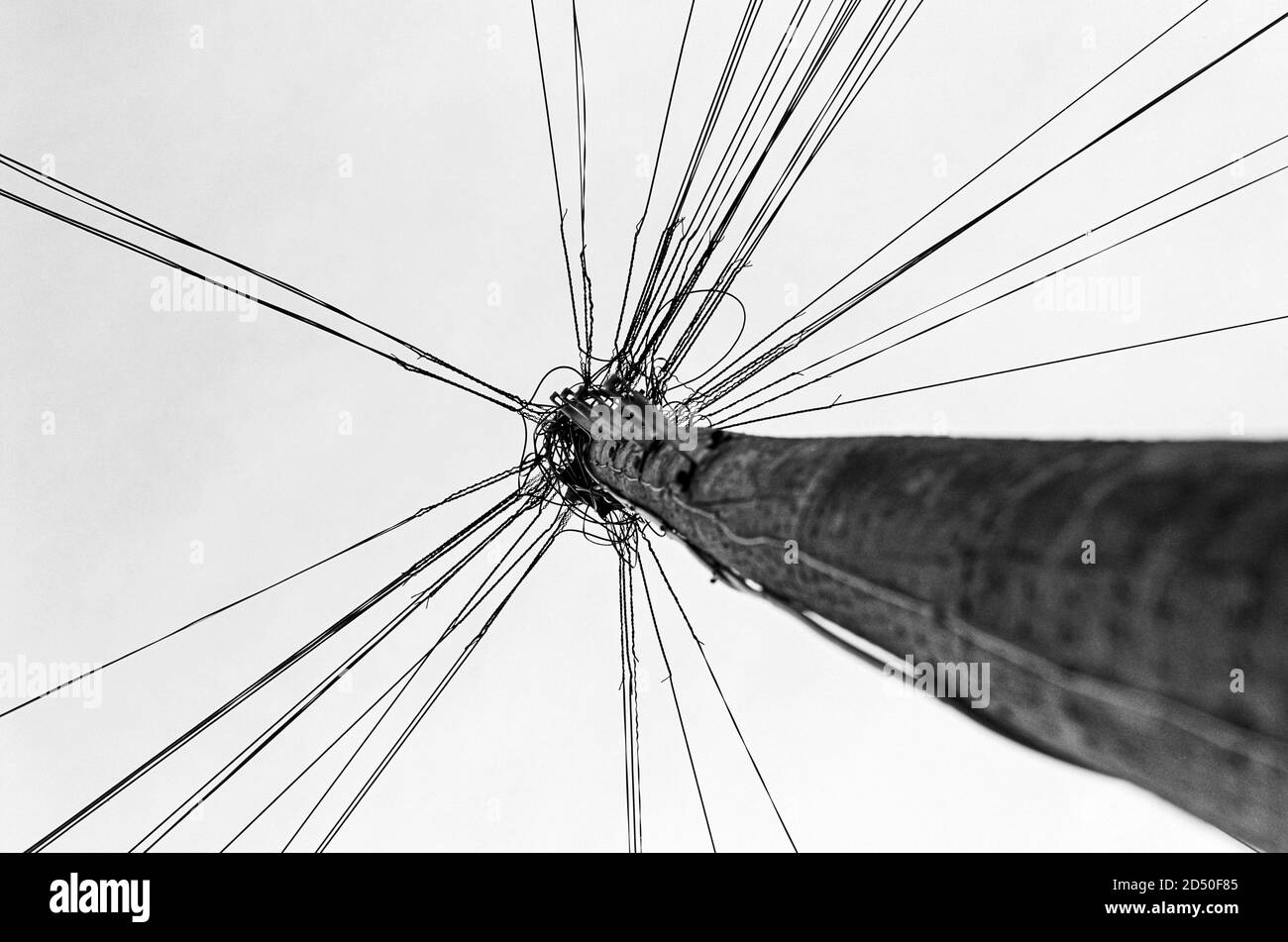 Electric telephone utility wire line wires lines post pole Black and ...