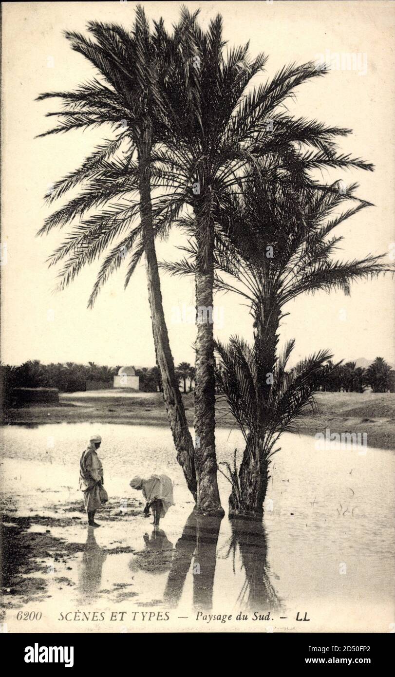 Scenes et Types, Paysage du Sud, Afrika, Wüste, Oase, Palmen | usage ...