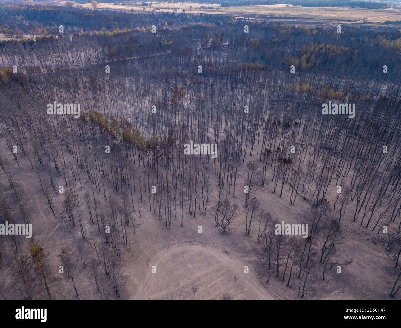 Burning Firewall High Resolution Stock Photography and Images - Alamy
