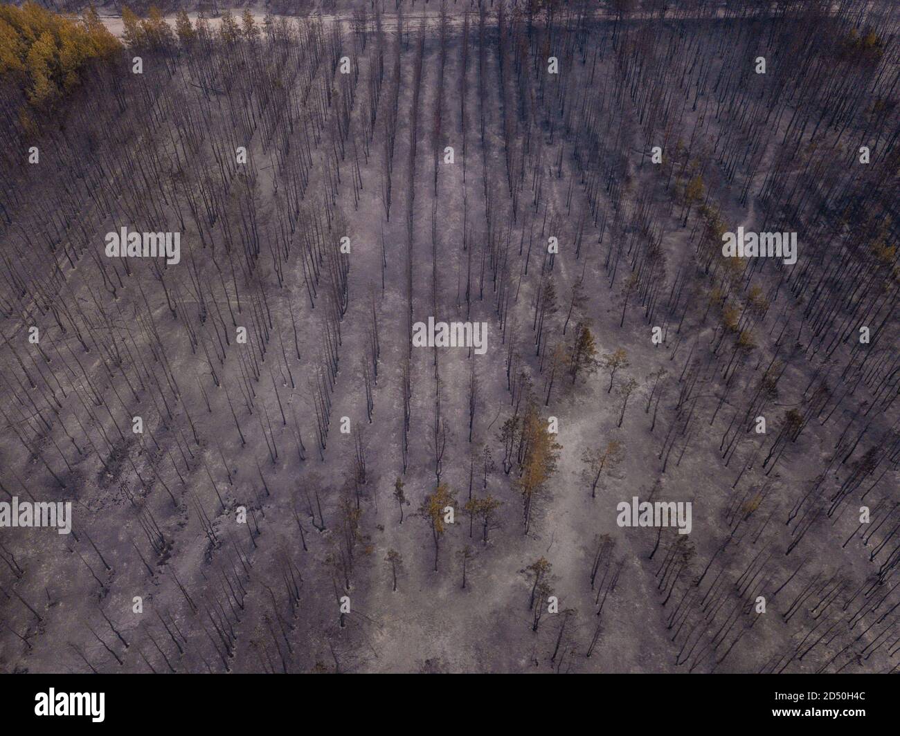 Burning firewall hi-res stock photography and images - Alamy