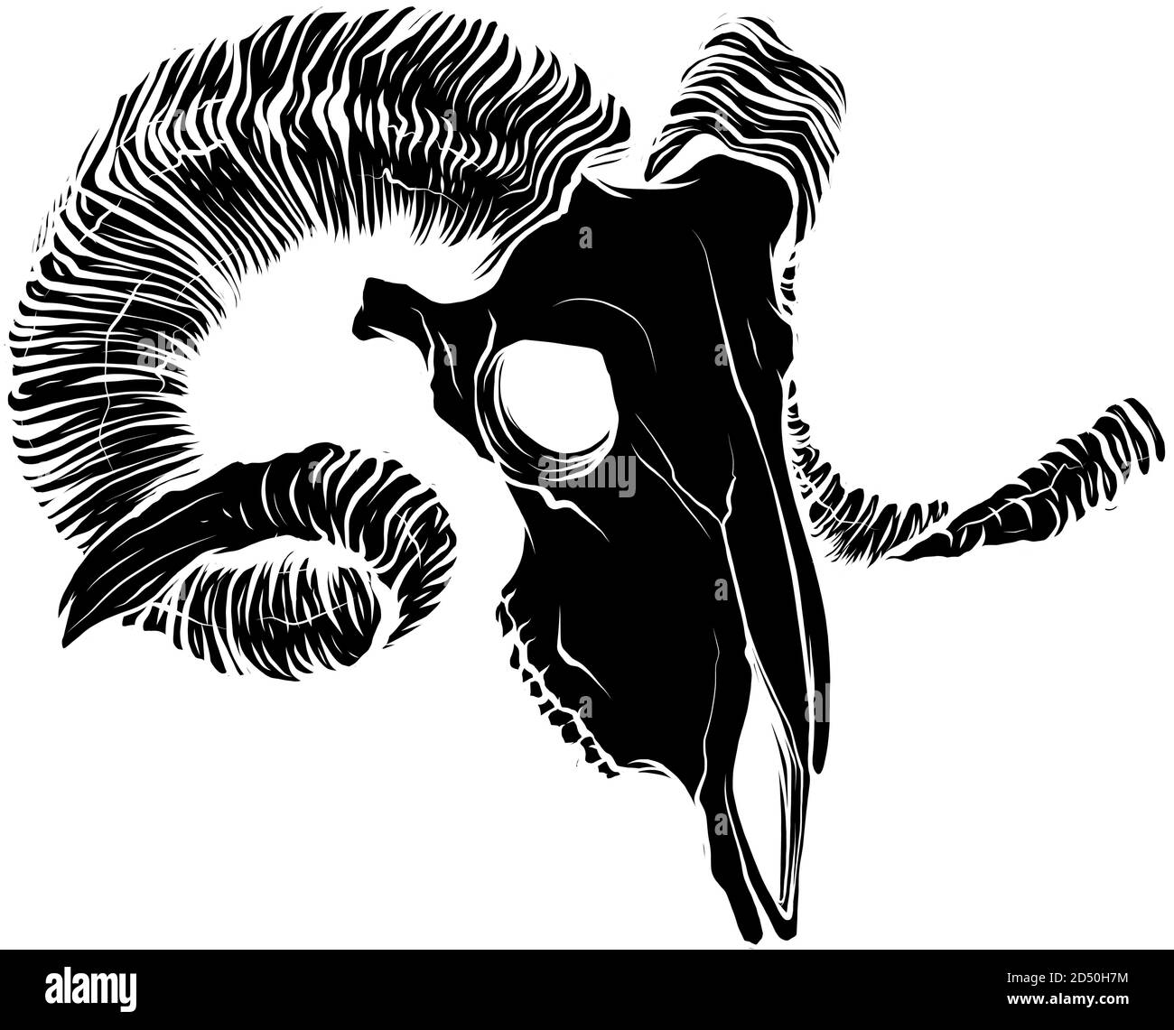 Evil Ram Skull Drawing