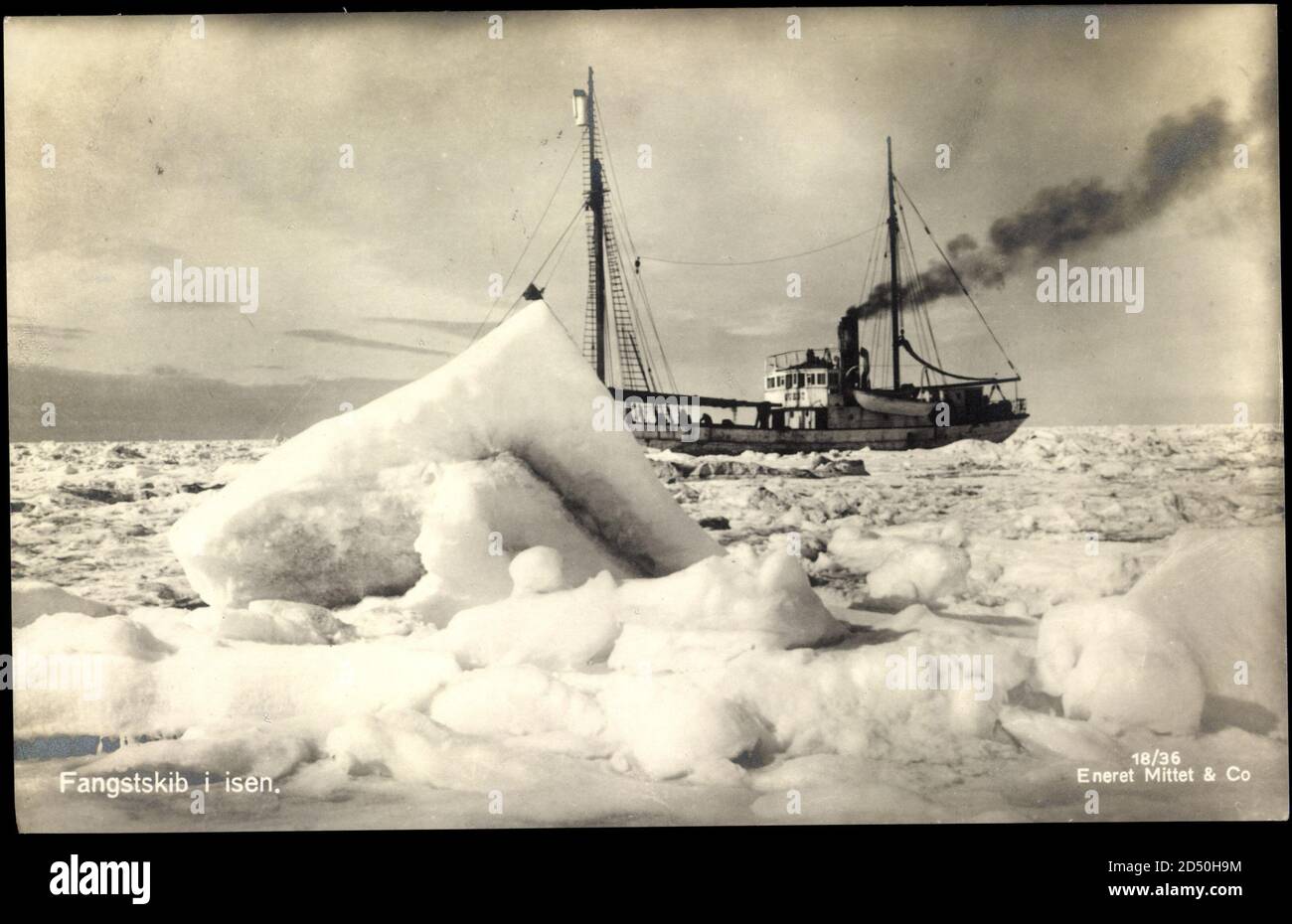 Fangstskib i isen, Eisbrecher im Packeis, Arktis | usage worldwide ...