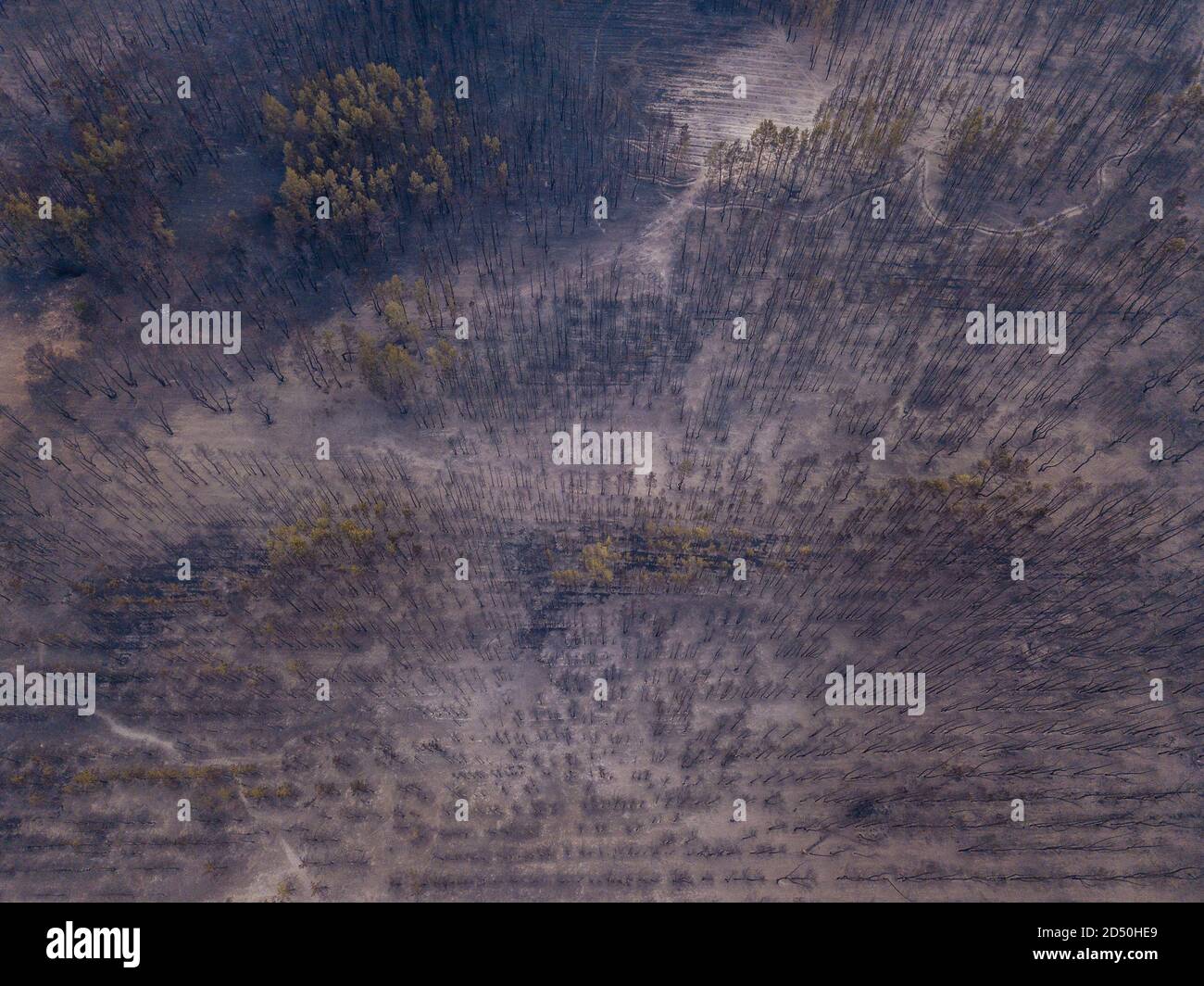 Burning firewall hi-res stock photography and images - Alamy