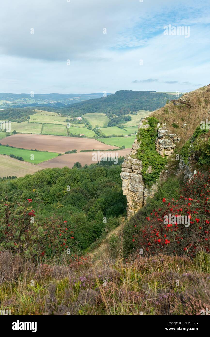 British moors hi-res stock photography and images - Alamy