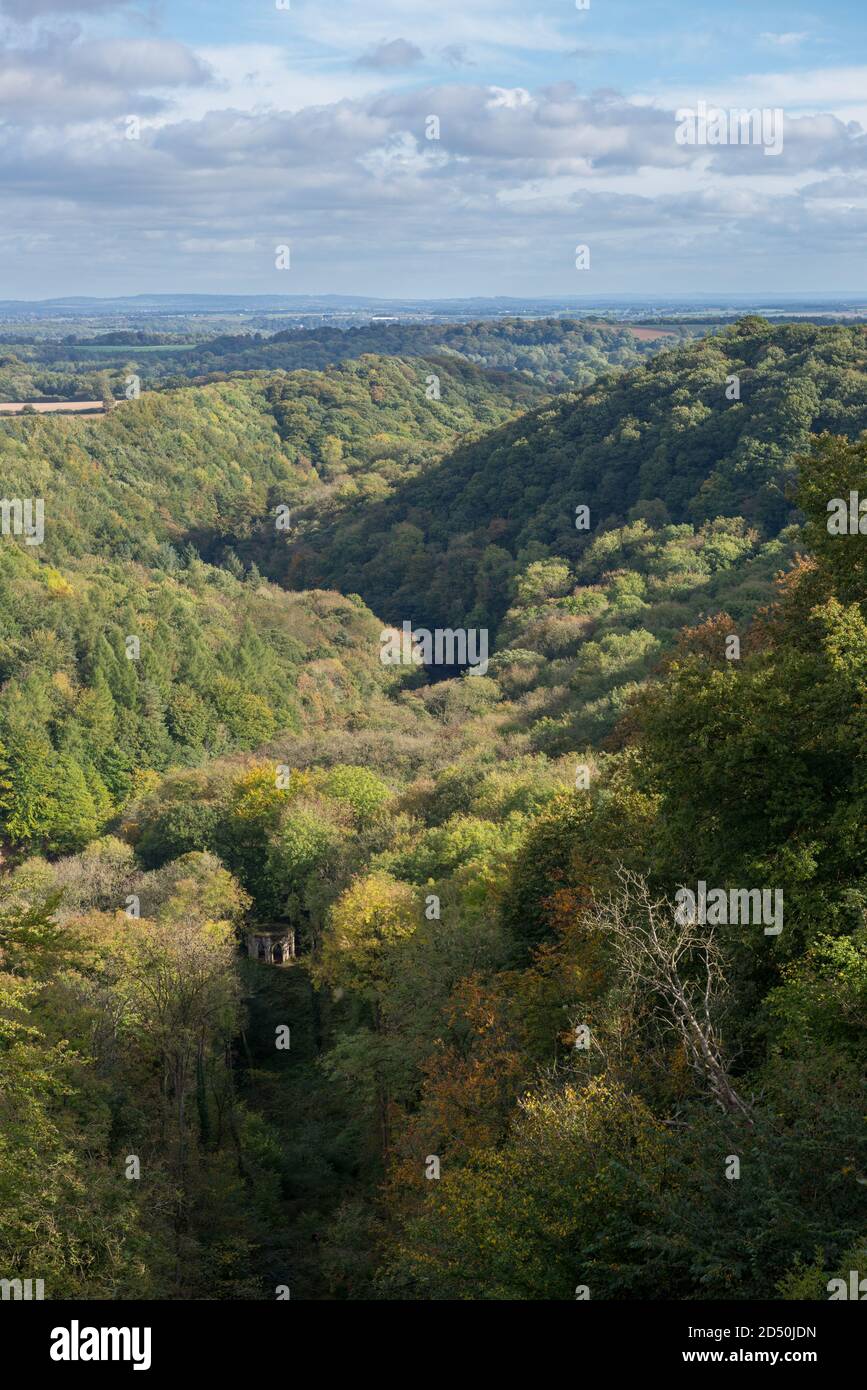 The valley of the River Ure at Hackfall Woods near Grewelthorpe, North ...