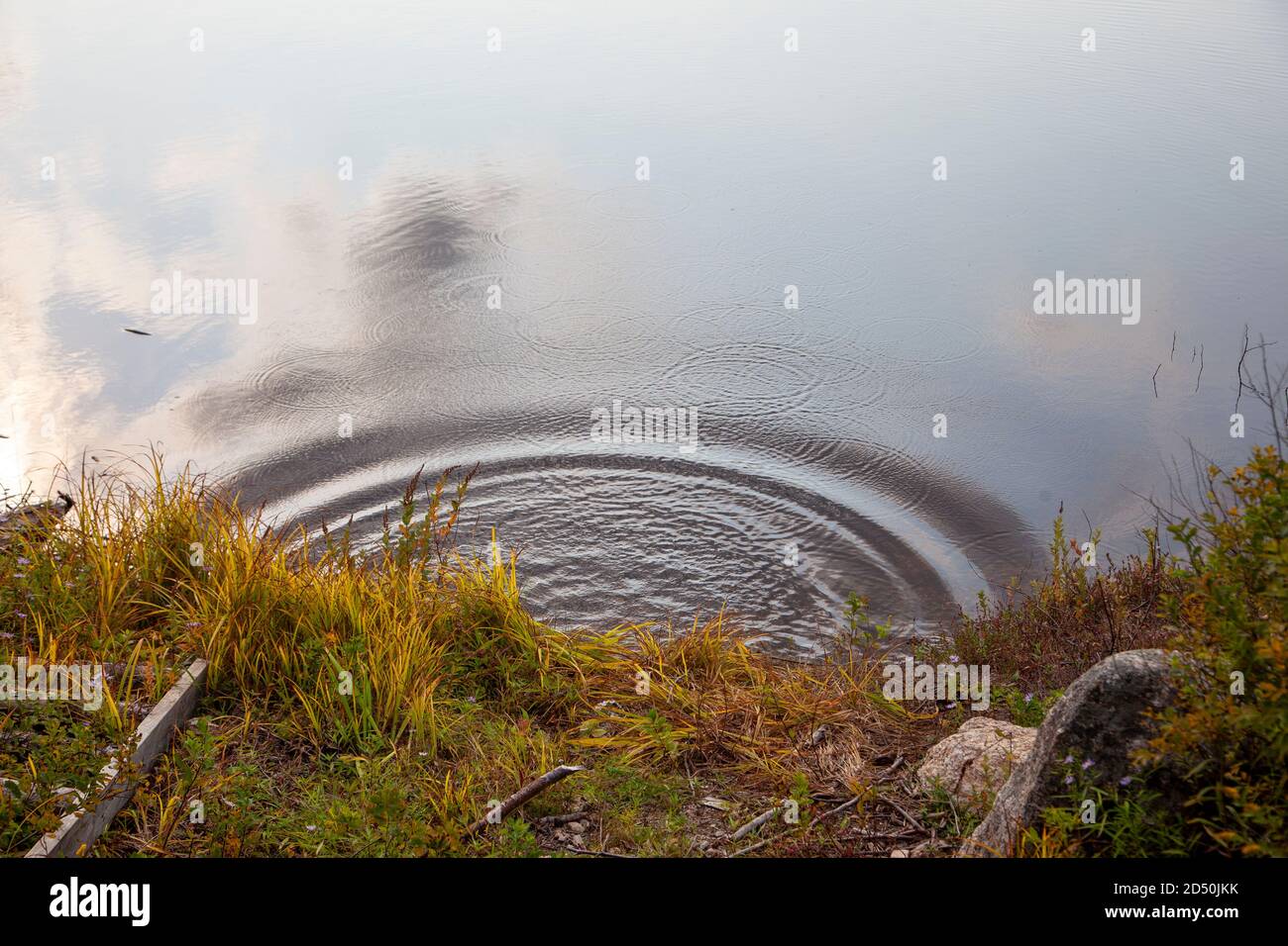 Ripples stone thrown into the water hi-res stock photography and images ...