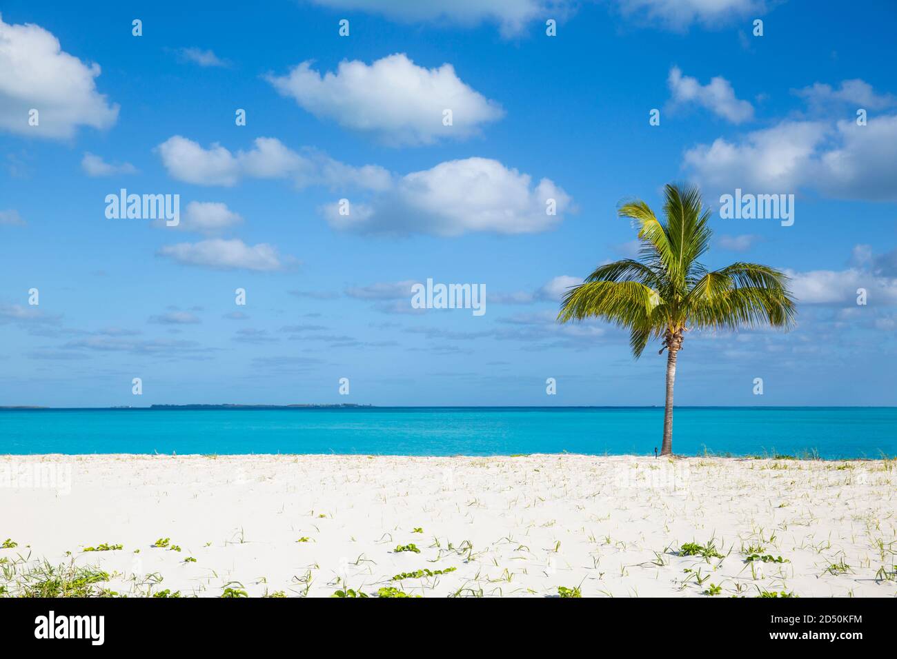 Bahamas, Abaco Islands, Great Abaco, Beach at Treasure Cay Stock Photo ...