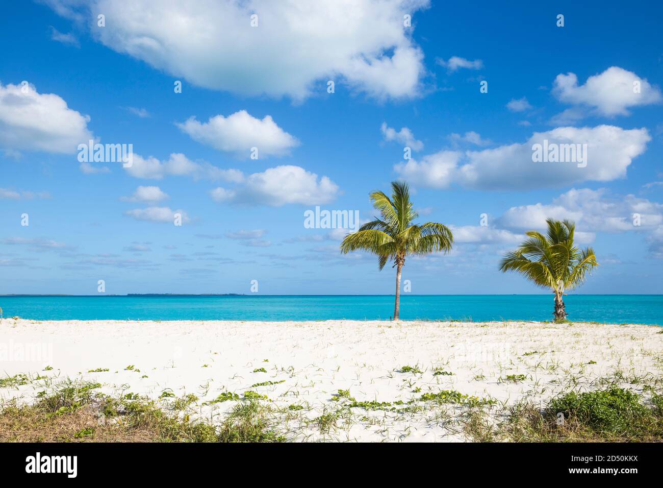 Bahamas, Abaco Islands, Great Abaco, Beach at Treasure Cay Stock Photo ...