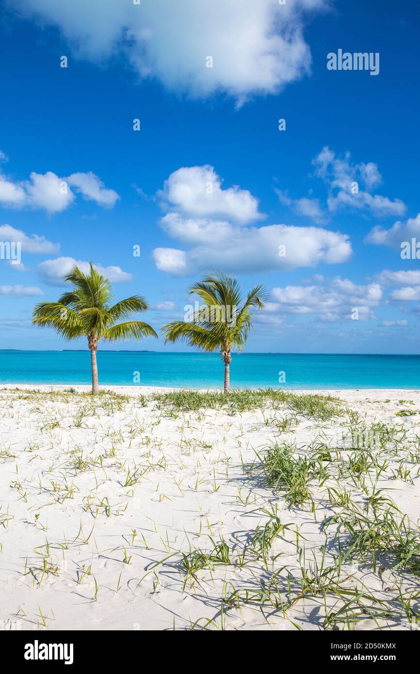 Bahamas, Abaco Islands, Great Abaco, Beach at Treasure Cay Stock Photo ...