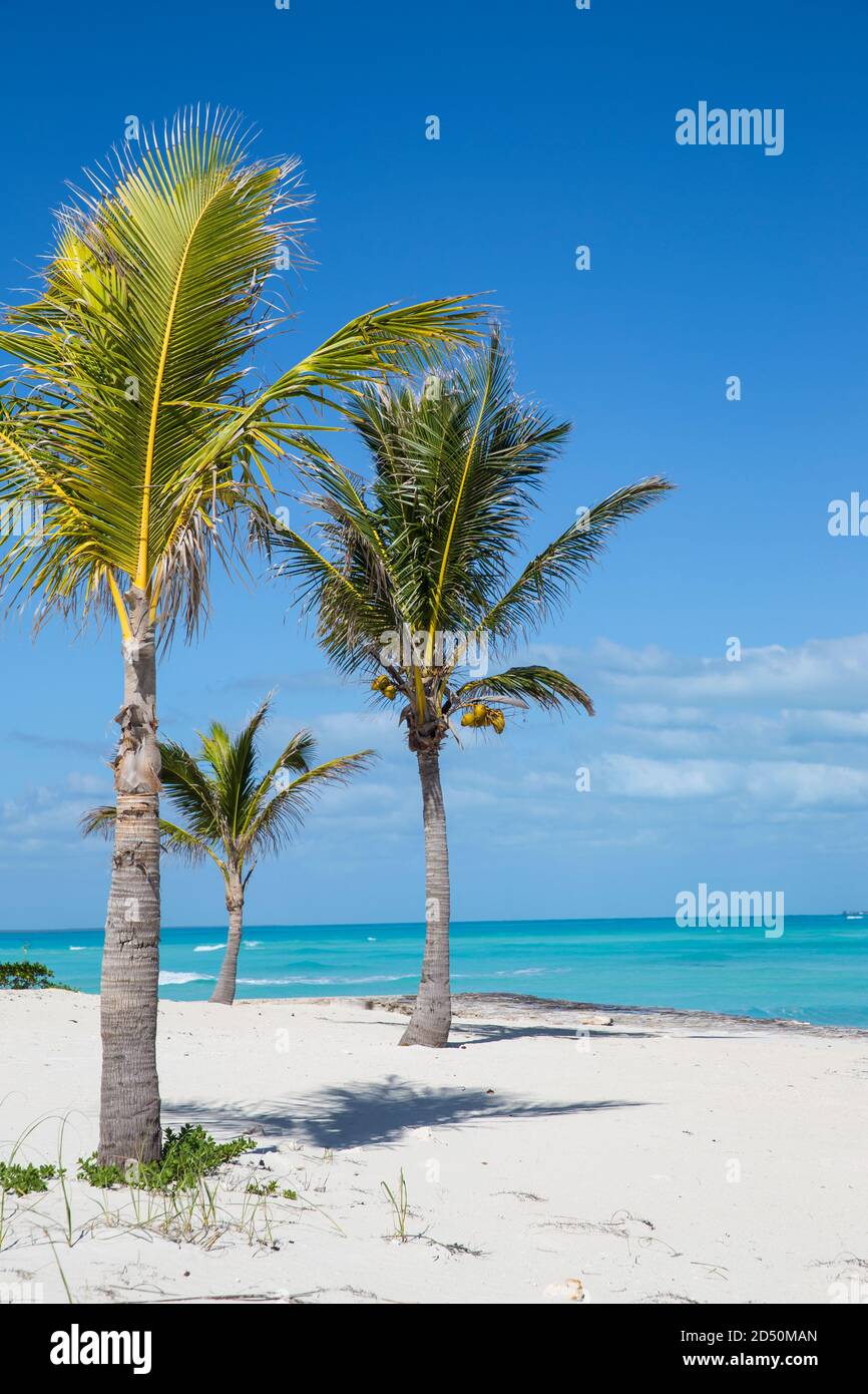 Abaco bahamas beaches hi-res stock photography and images - Alamy