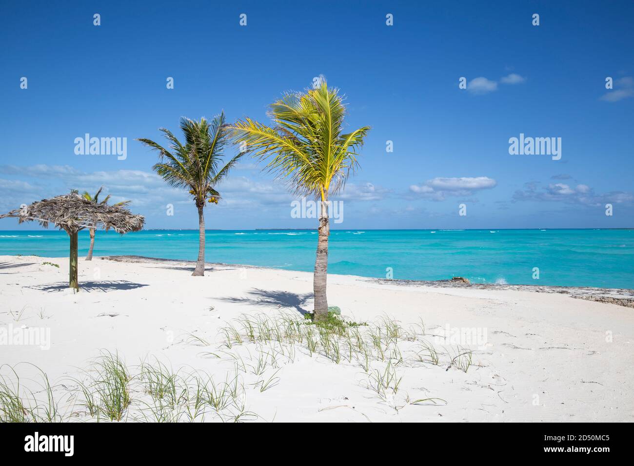 Bahamas, Abaco Islands, Great Abaco, Beach at Treasure Cay Stock Photo ...