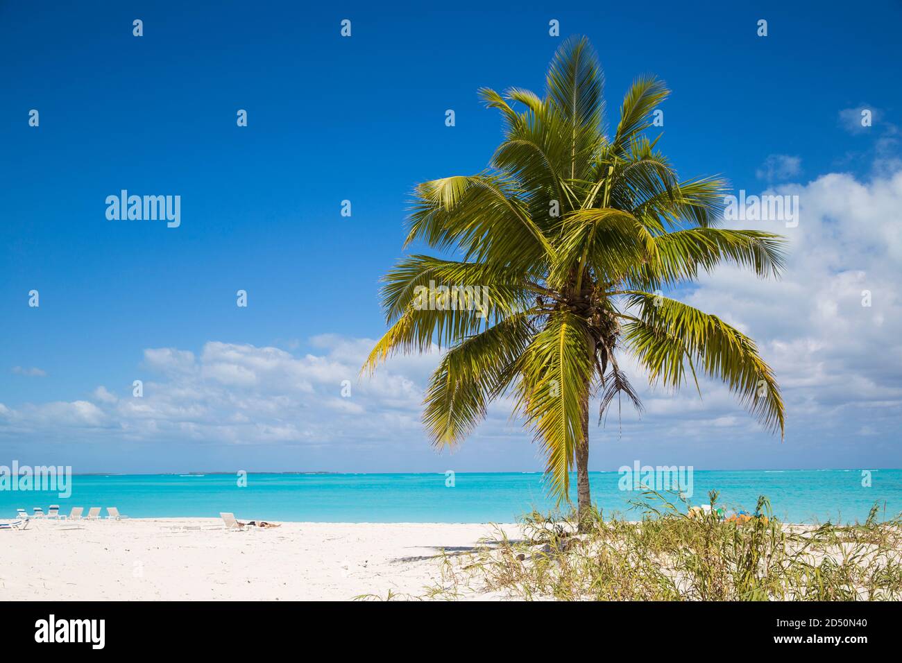 Bahamas, Abaco Islands, Great Abaco, Beach at Treasure Cay Stock Photo ...