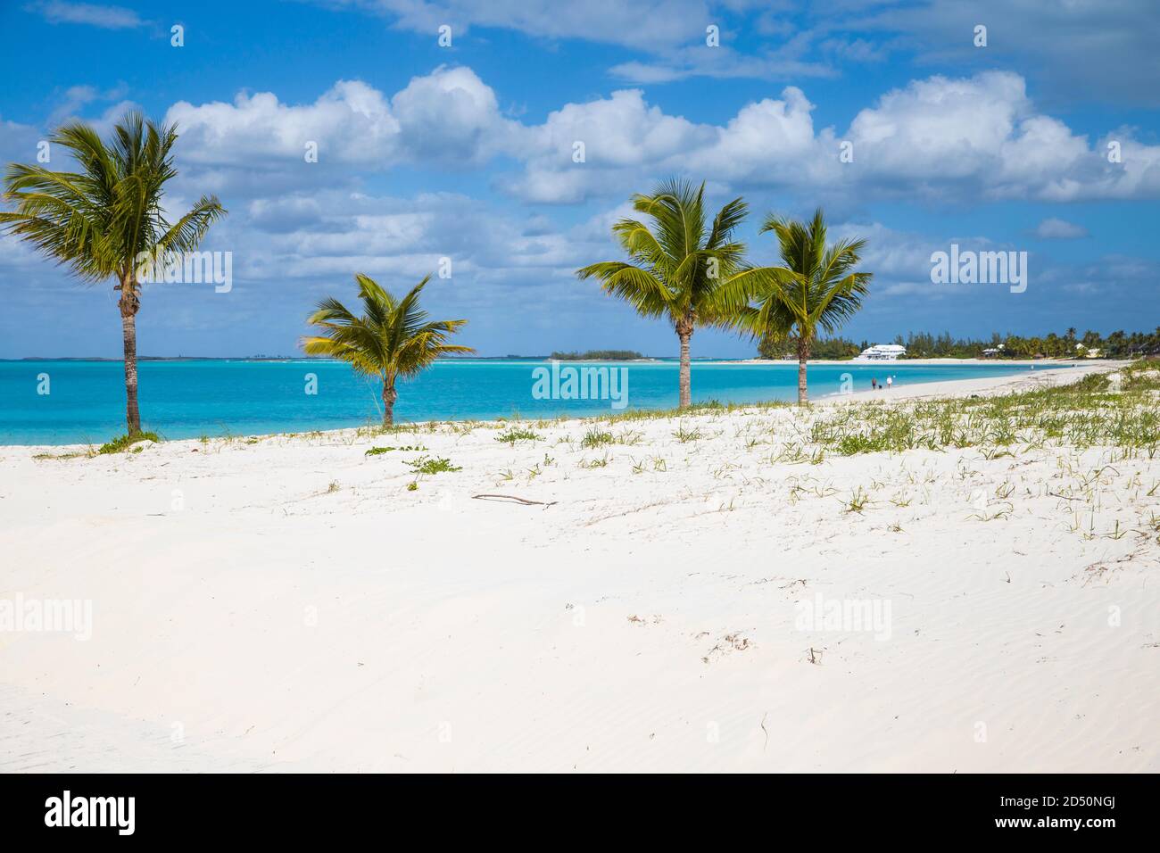 Bahamas, Abaco Islands, Great Abaco, Beach at Treasure Cay Stock Photo ...