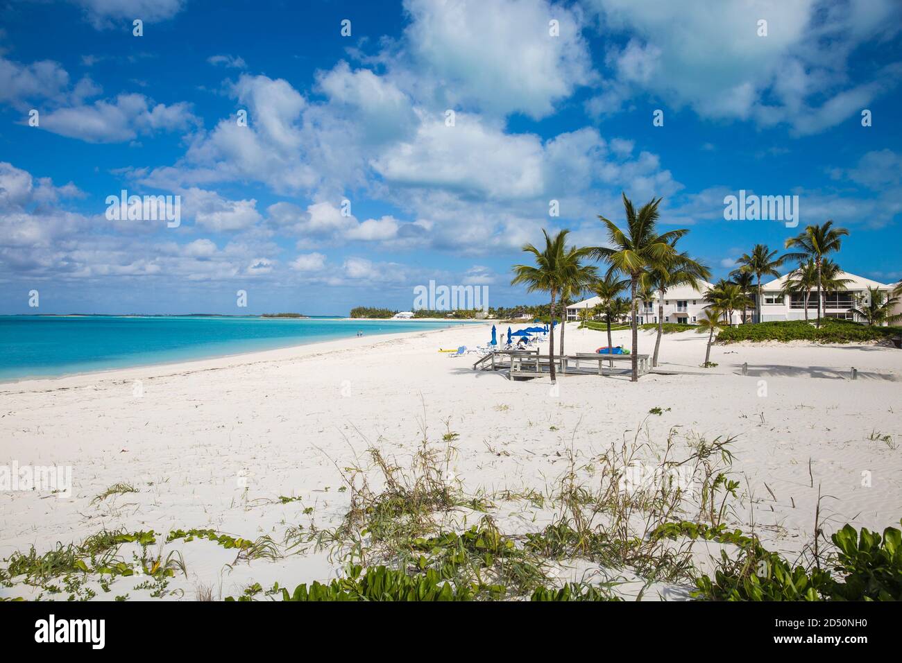 Bahamas, Abaco Islands, Great Abaco, Beach at Treasure Cay Stock Photo ...
