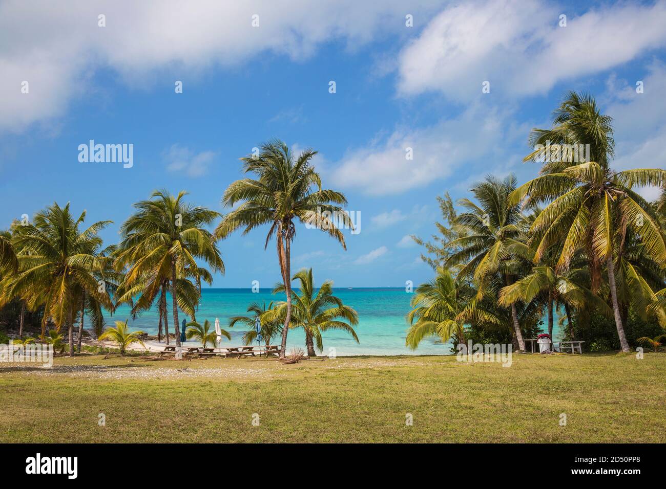Bahamas, Abaco Islands, Great Abaco, Marsh Harbour, Beach at Mermaid ...
