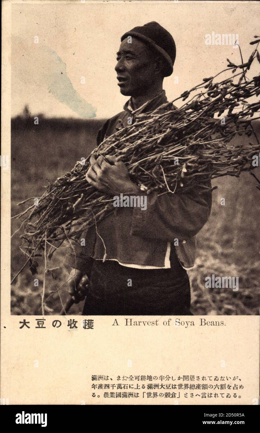 A Harvest of Soya Beans, Sojabohnenernte, Chinese, Bauer | usage ...