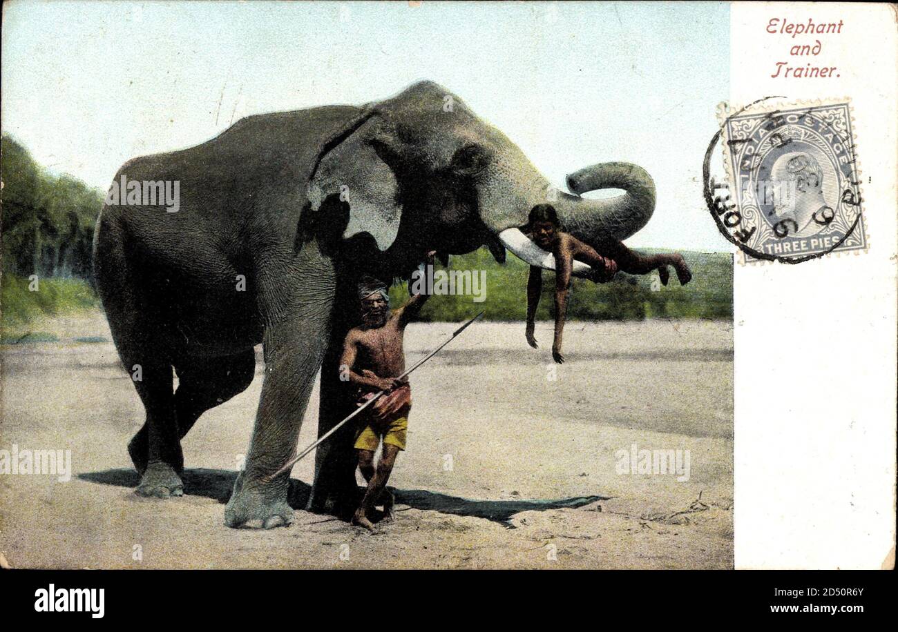 Elephant and Trainer, Indien, Indischer Elefant hebt Kind | usage ...