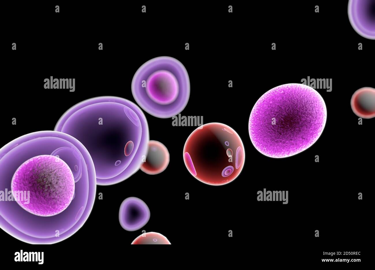 T Cells Attacking Cancer Cells High Resolution Stock Photography and ...
