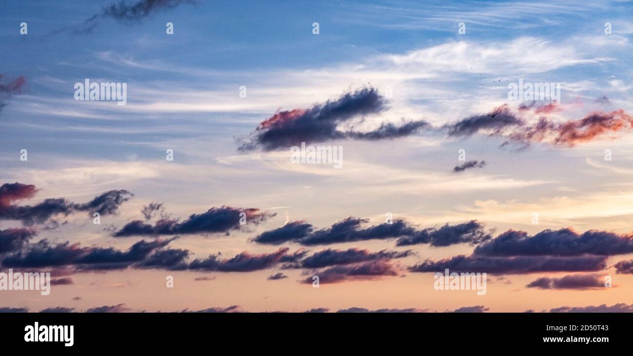 Sky in the pink shades of the sunset with floating clouds. Natural ...