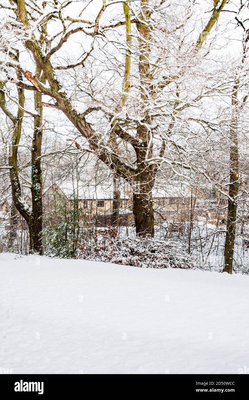 Winter scene of houses after a fall of snow in Consett, County Durham ...