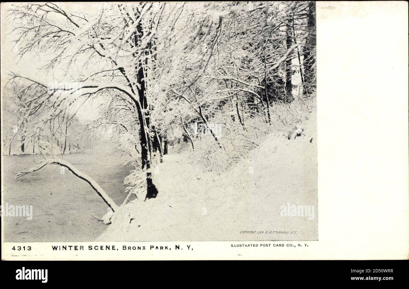 New York City, Winter Scene in Bronx Park, Uferpartie | usage worldwide ...