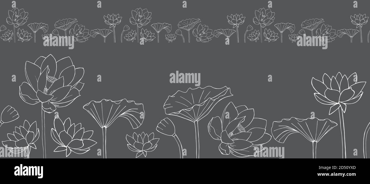 vector seamless border of Lotus flowers and leaves Stock Vector Image ...