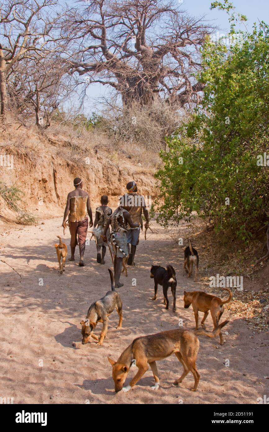 Hunter Gatherer Bow Hadzabe Tribe High Resolution Stock Photography and ...
